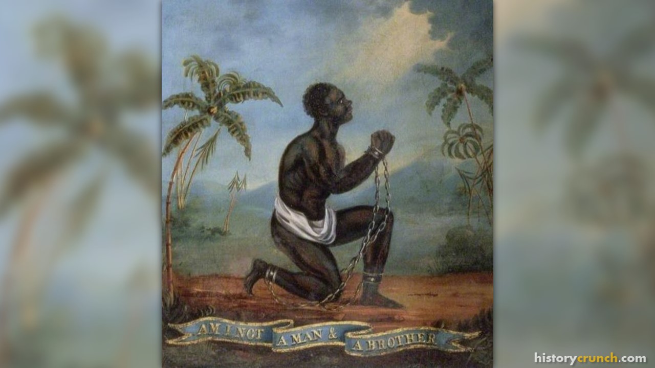 American Abolitionist Movement: A Detailed Summary - History Crunch