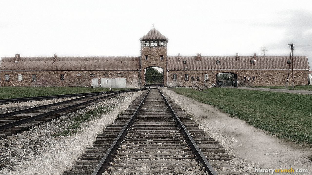 Types of Camps in the Holocaust: A Detailed Summary - History Crunch