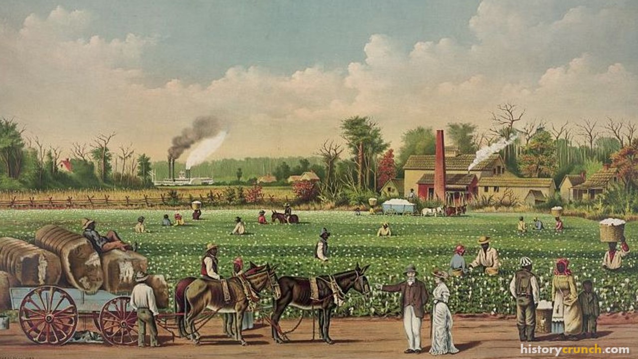 Slave Plantations in the United States: A Detailed Summary - History Crunch